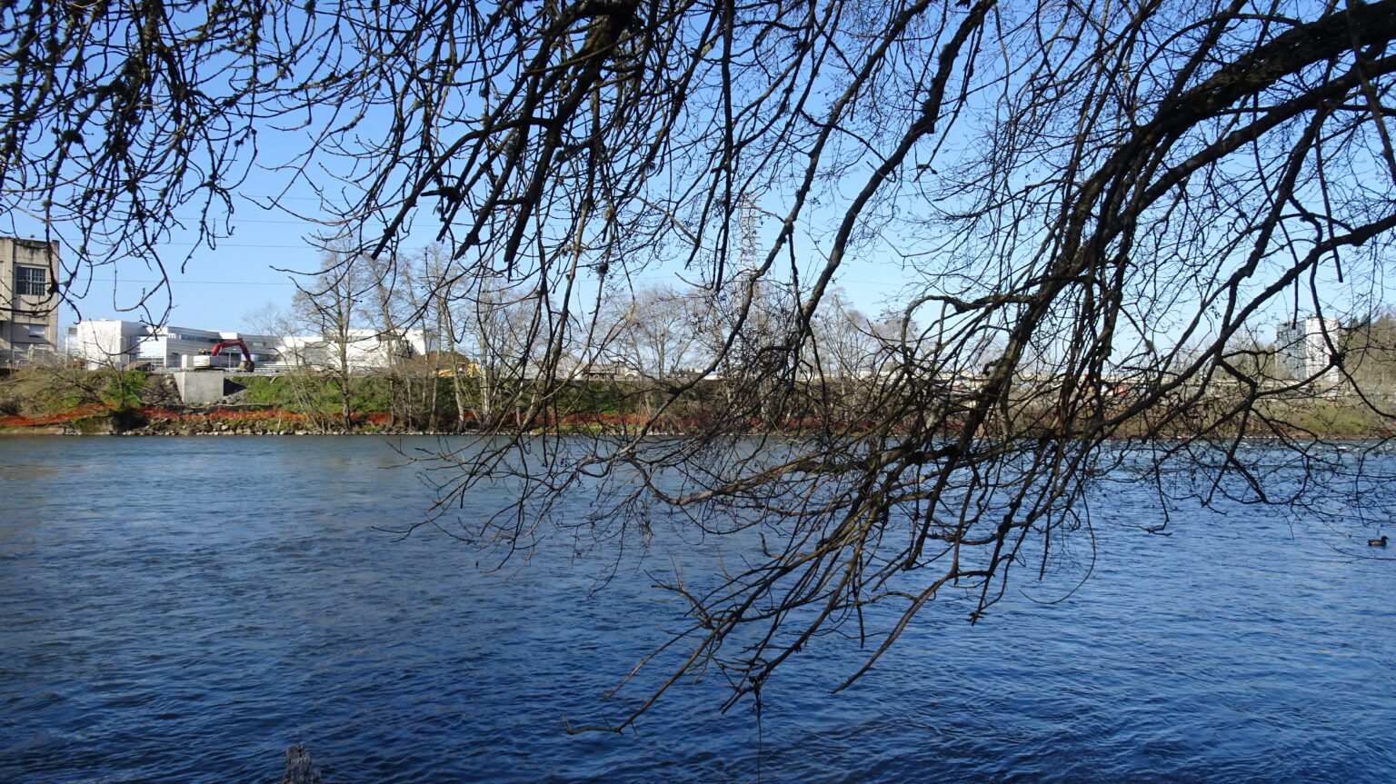 Eugene Downtown Riverfront Redevelopment Project: A River Flows Through ...